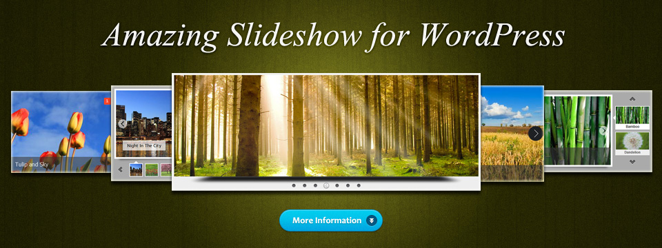 WordPress Plugin | WordPress Image Slider, Video Gallery and HTML5 ...