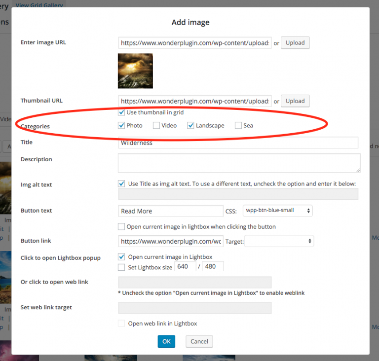 How to create WordPress Grid Gallery with Categories | WordPress Plugin