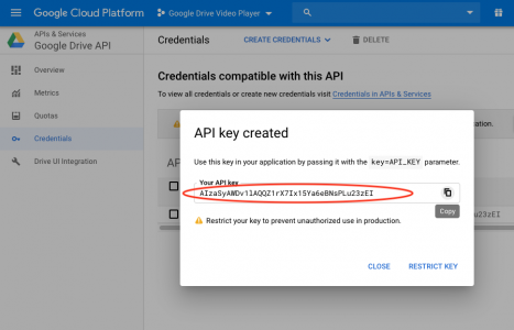 How to apply for a Google Drive API key | WordPress Plugin
