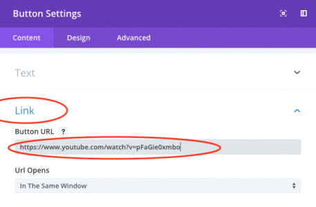 How to add WordPress Lightbox in Divi | WordPress Plugin