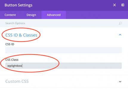 How to add WordPress Lightbox in Divi | WordPress Plugin