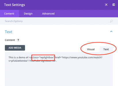 How to add WordPress Lightbox in Divi | WordPress Plugin