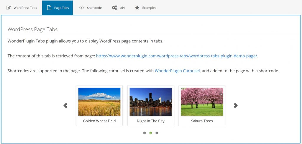 WordPress Tabs Examples | WordPress Plugin