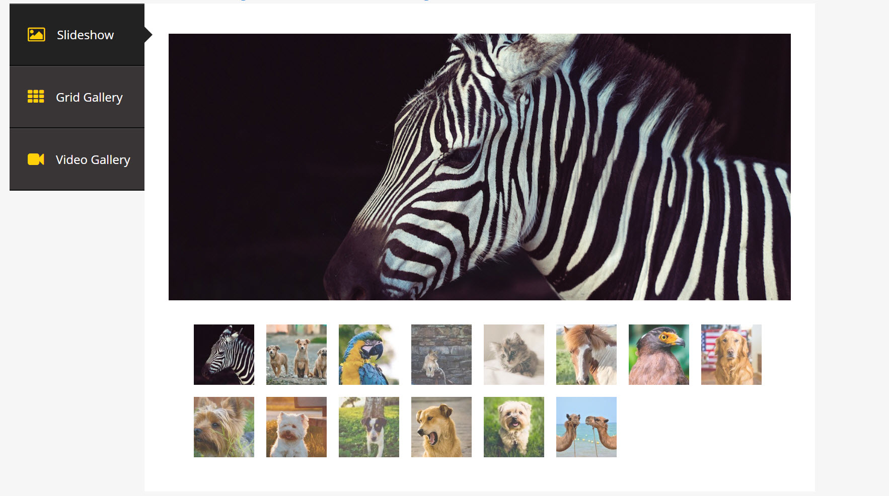 WordPress Tabs Examples | WordPress Plugin