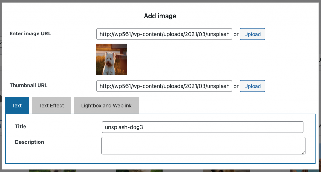 Not allowing to edit images or add new images | WordPress Plugin